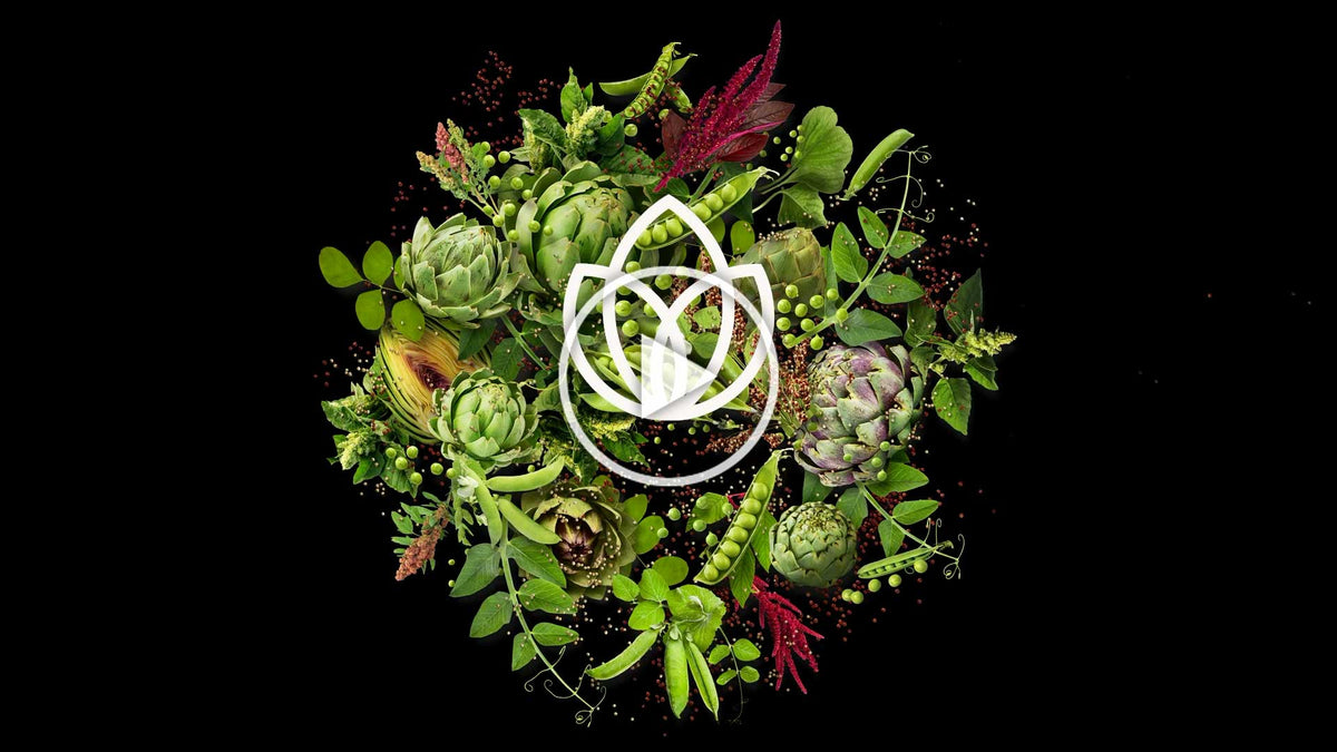 About - PlantFusion