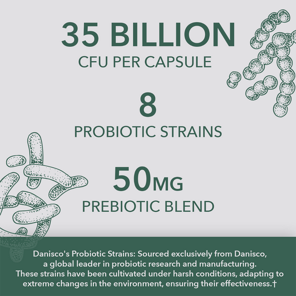 Vegan Probiotic - 35 Billion CFU, 8 Strains - PlantFusion