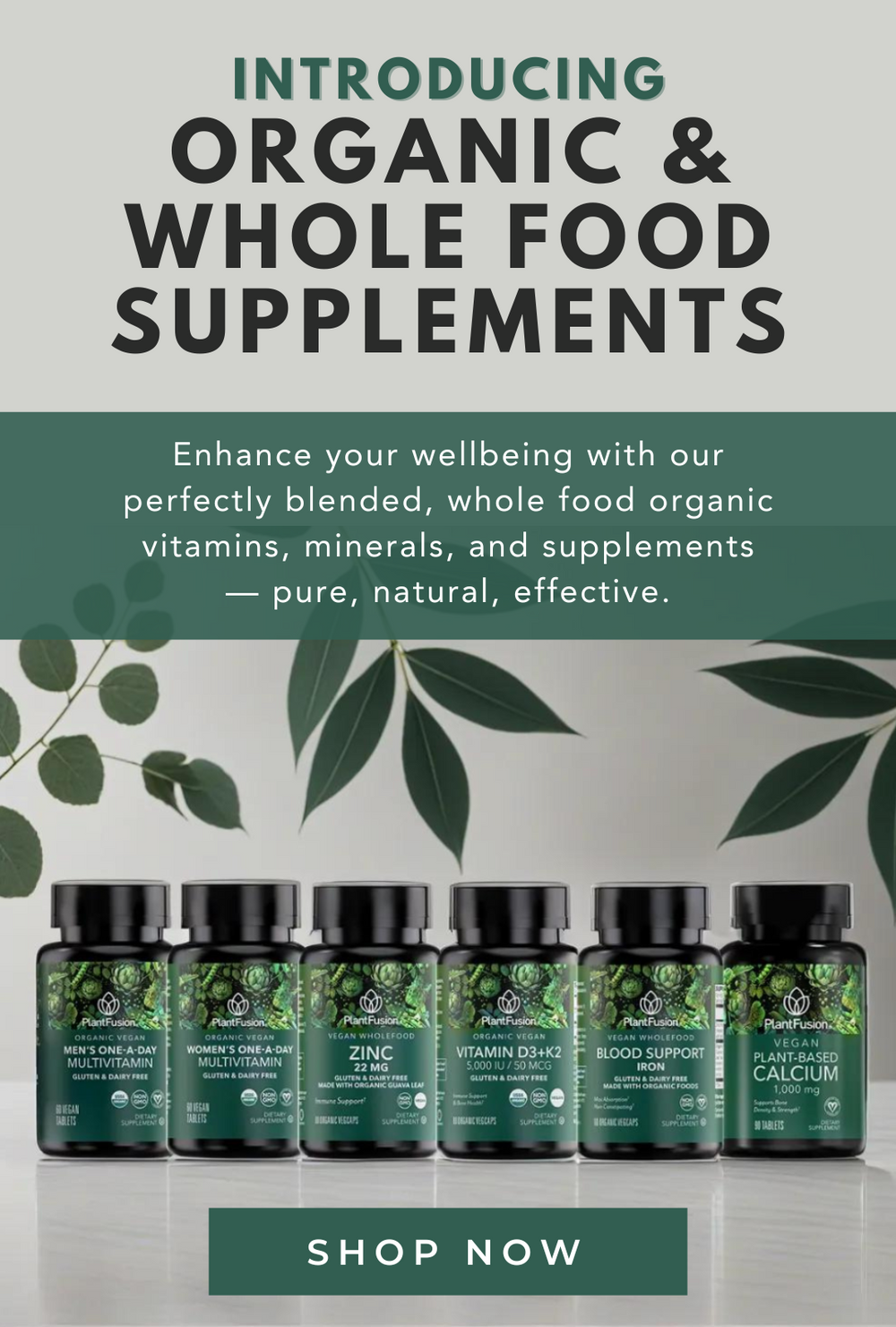 PlantFusion: Authentic, 100% plant-based, nutrient-dense products