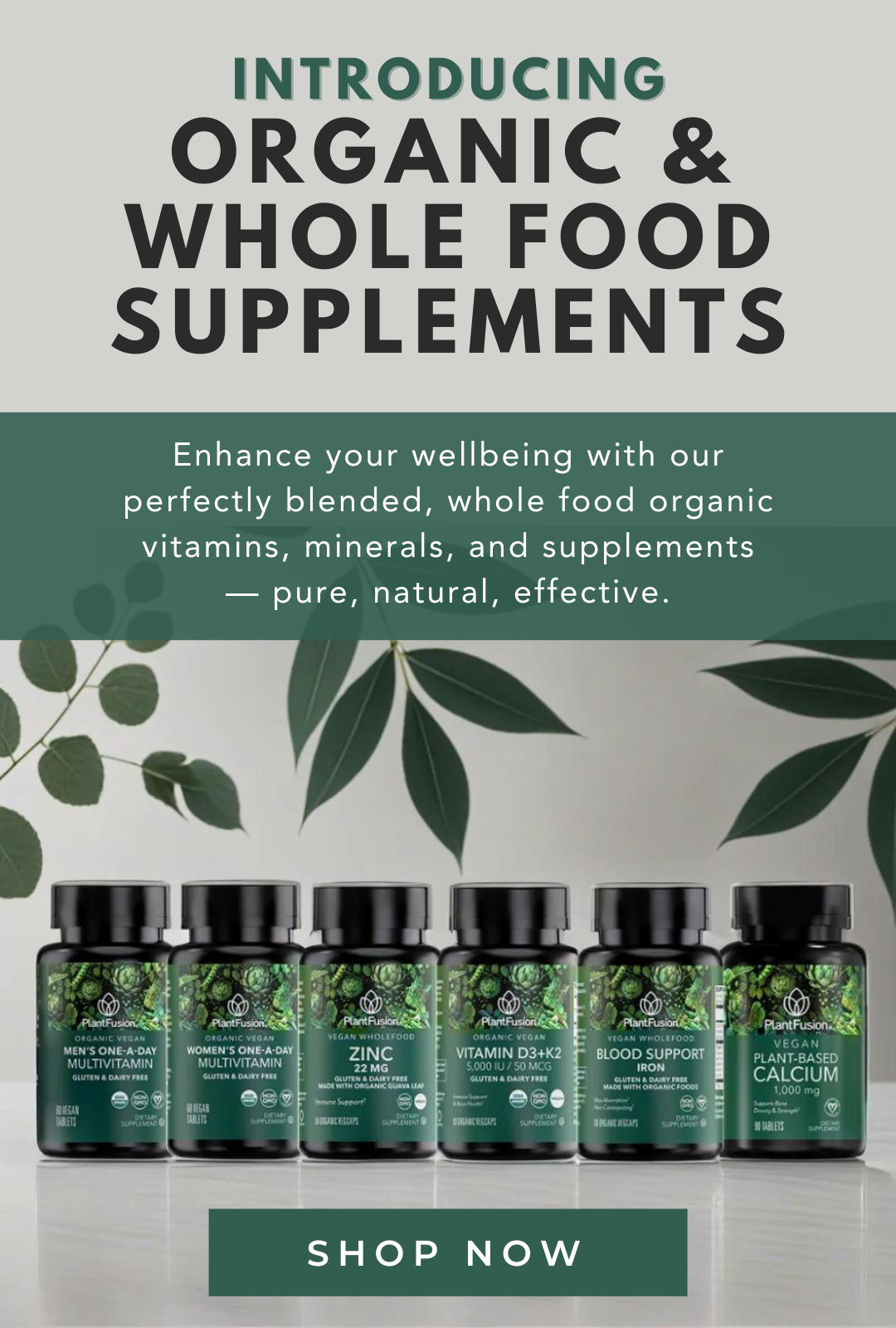 PlantFusion: Authentic, 100% plant-based, nutrient-dense products
