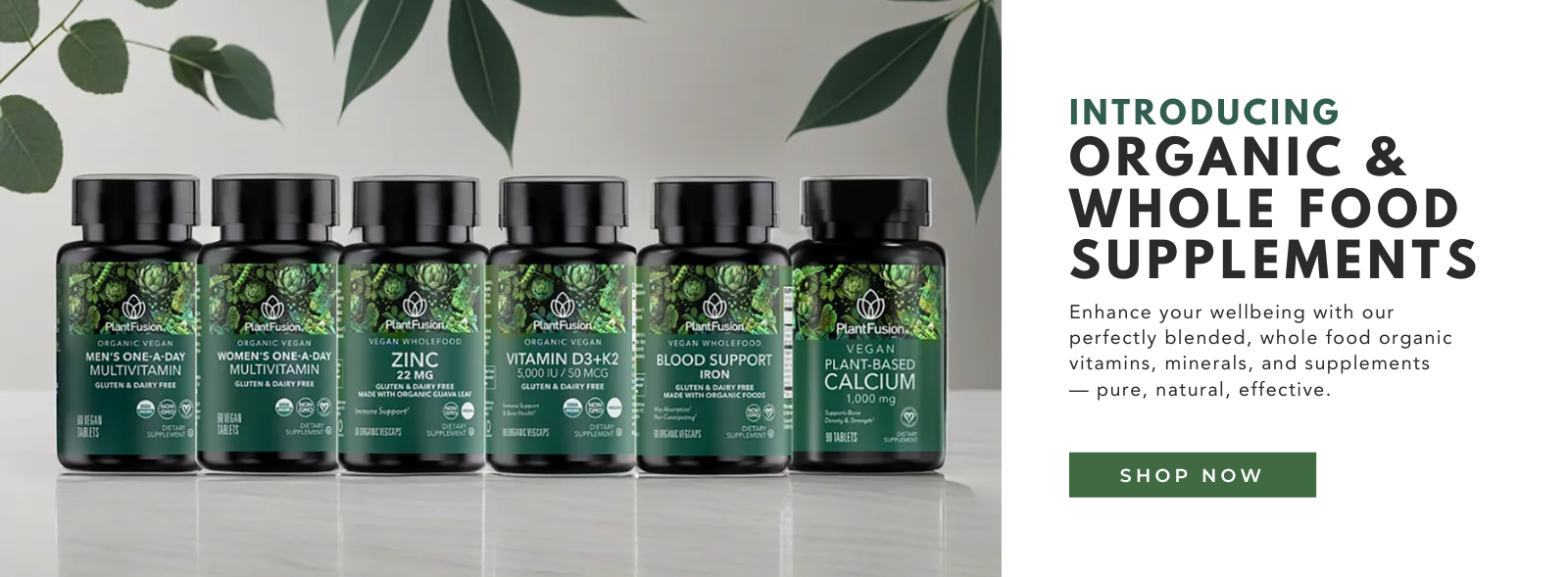PlantFusion: Authentic, 100% plant-based, nutrient-dense products