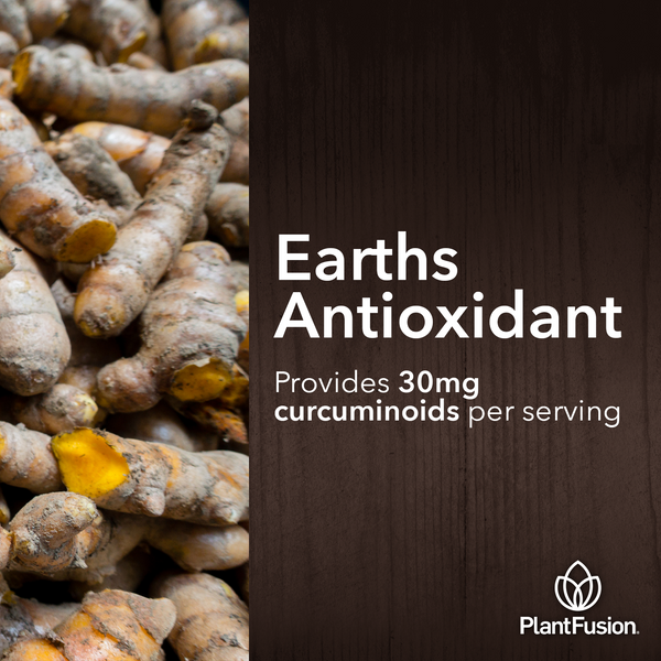 Turmeric & Ginger - Fermented Superfood Powder Blend - PlantFusion